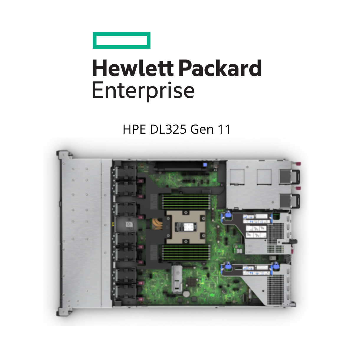 HPE ProLiant DL325 Gen11 (SI) | CONNECTEAM SA